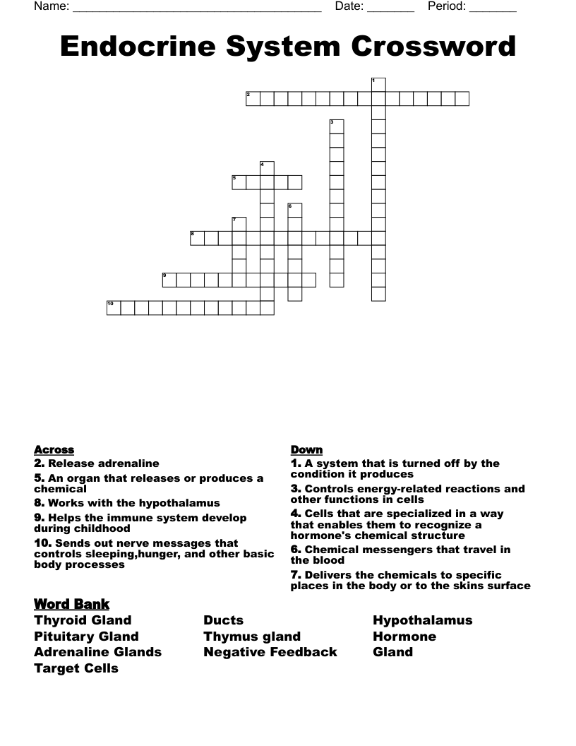 Endocrine System Crossword - WordMint