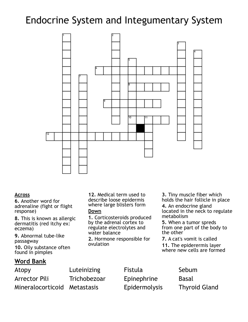 Endocrine System and Integumentary System Crossword - WordMint
