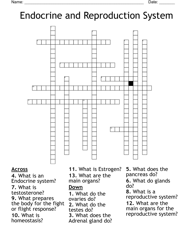 Endocrine and Reproduction System Crossword - WordMint