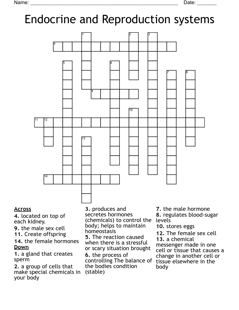 Endocrine and Reproduction systems Crossword - WordMint