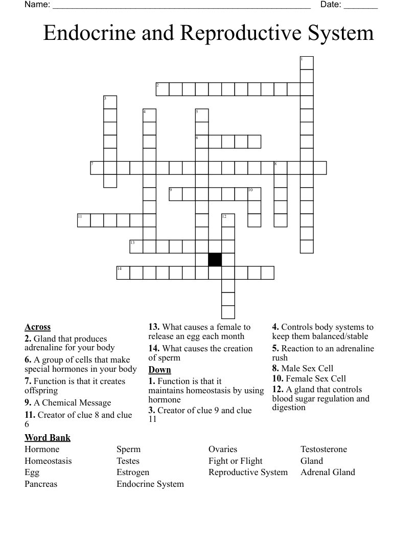 Endocrine and Reproductive System Crossword - WordMint