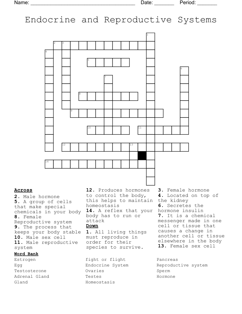 Endocrine and Reproductive Systems Crossword - WordMint