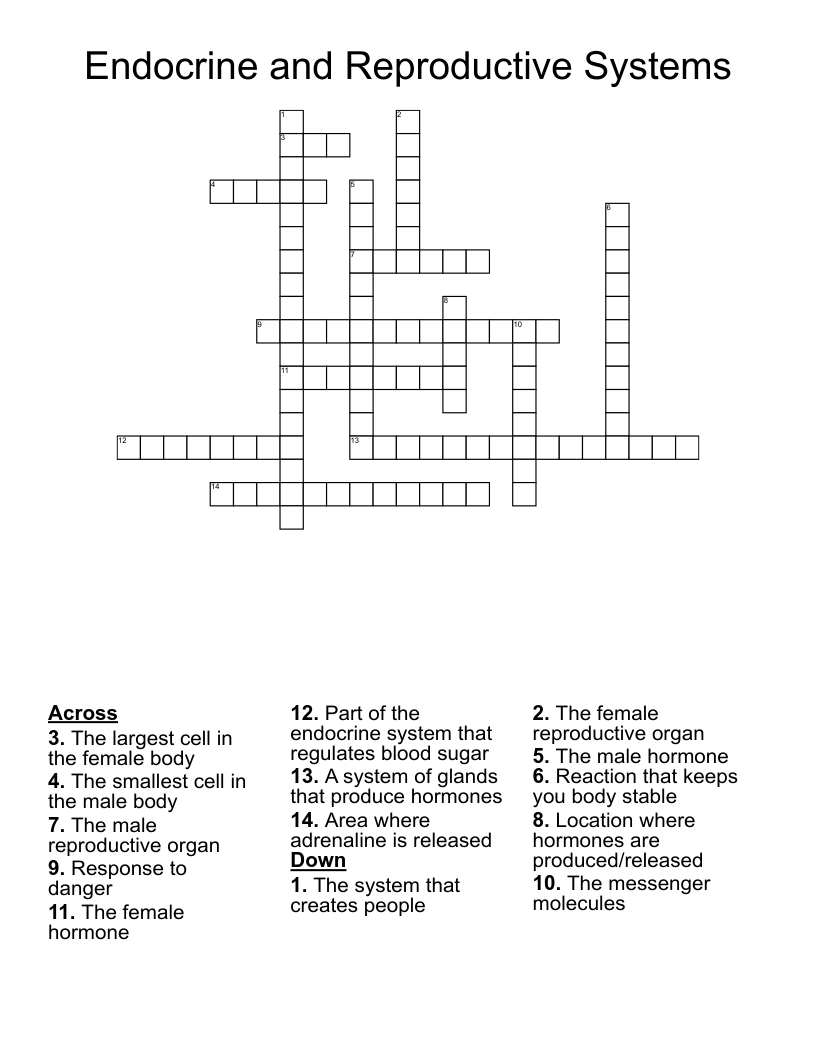 THE ENDOCRINE SYSTEM Crossword - WordMint