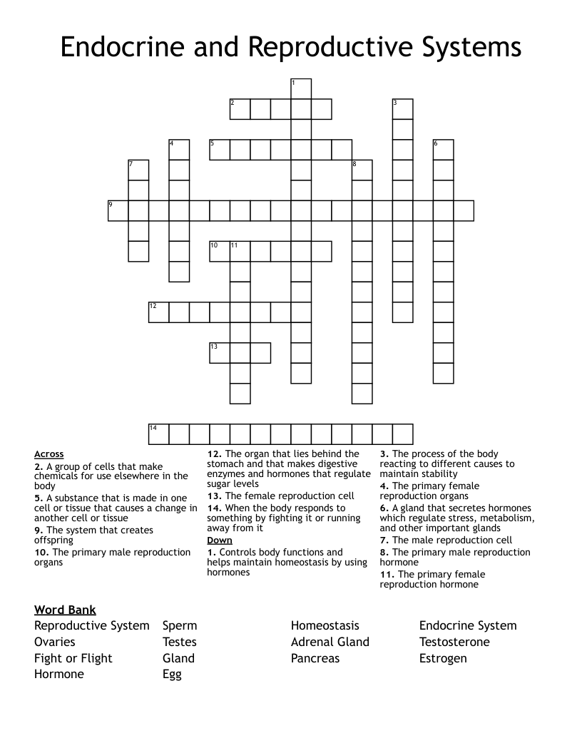 Endocrine and Reproductive Systems Crossword - WordMint