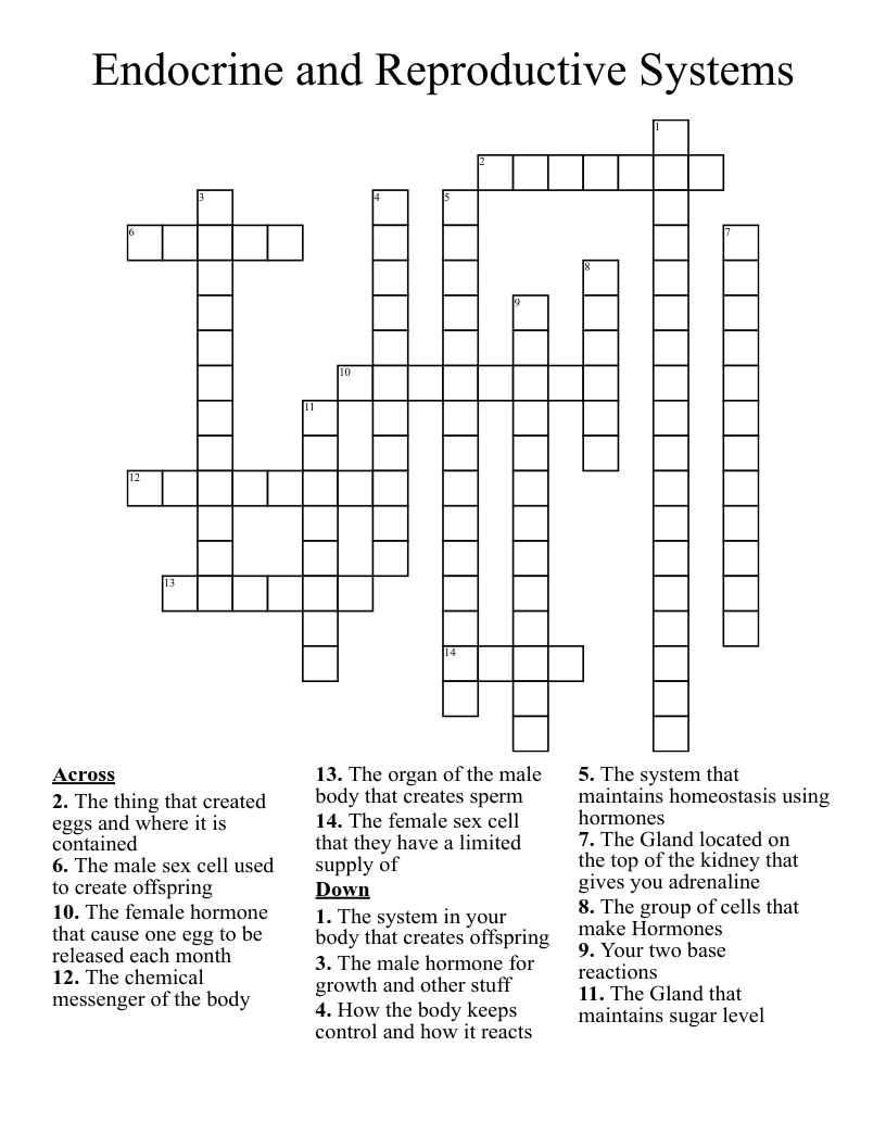 Endocrine and Reproductive Systems Crossword - WordMint