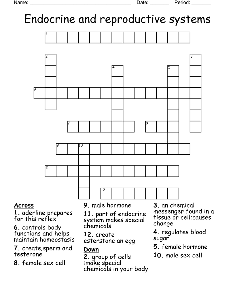 Endocrine and reproductive systems Crossword - WordMint