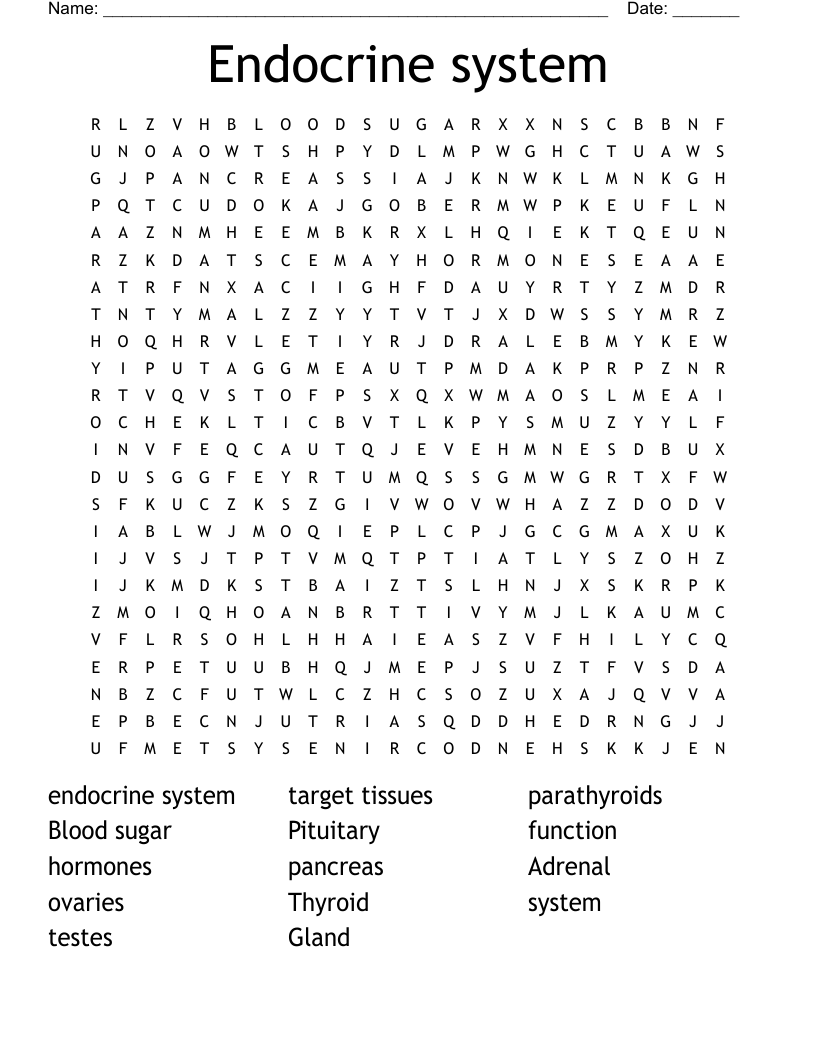 Endocrine system Word Search - WordMint