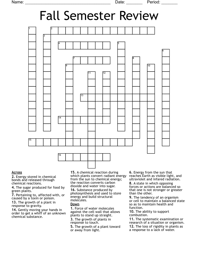 Fall Semester Review Crossword - WordMint