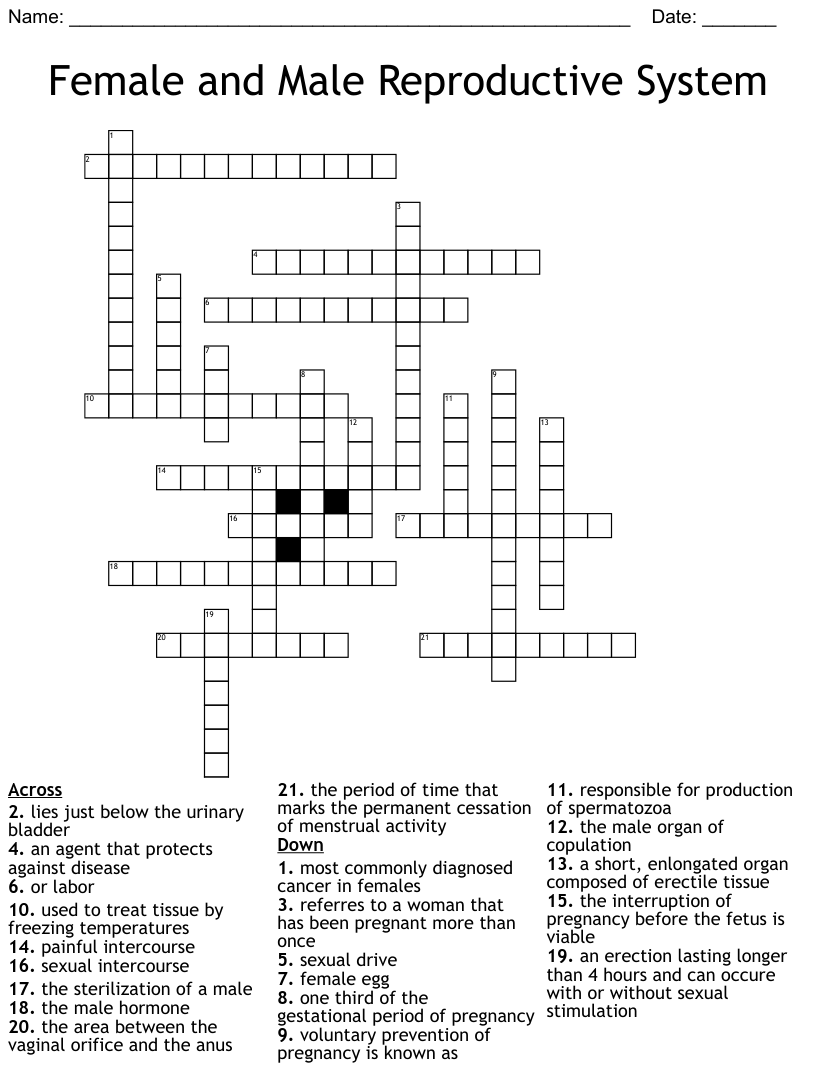OBGYN Crossword - WordMint