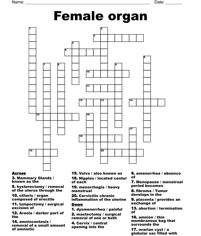 GYN Exam Terms Crossword - WordMint