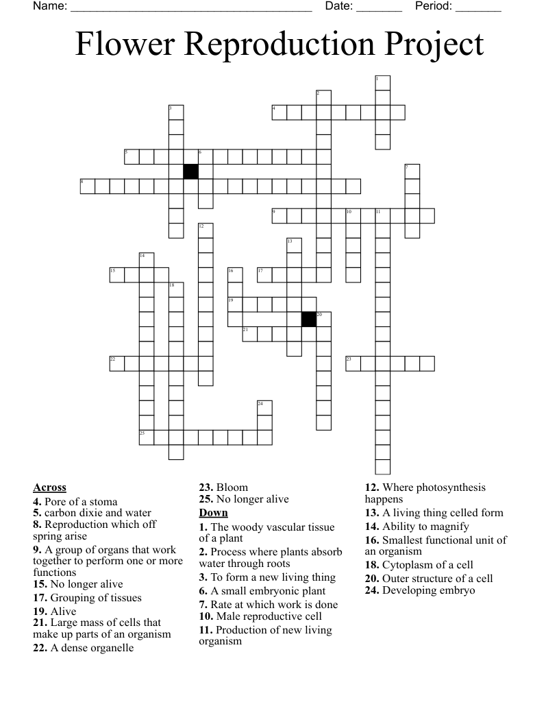 Flower Reproduction Project Crossword - WordMint