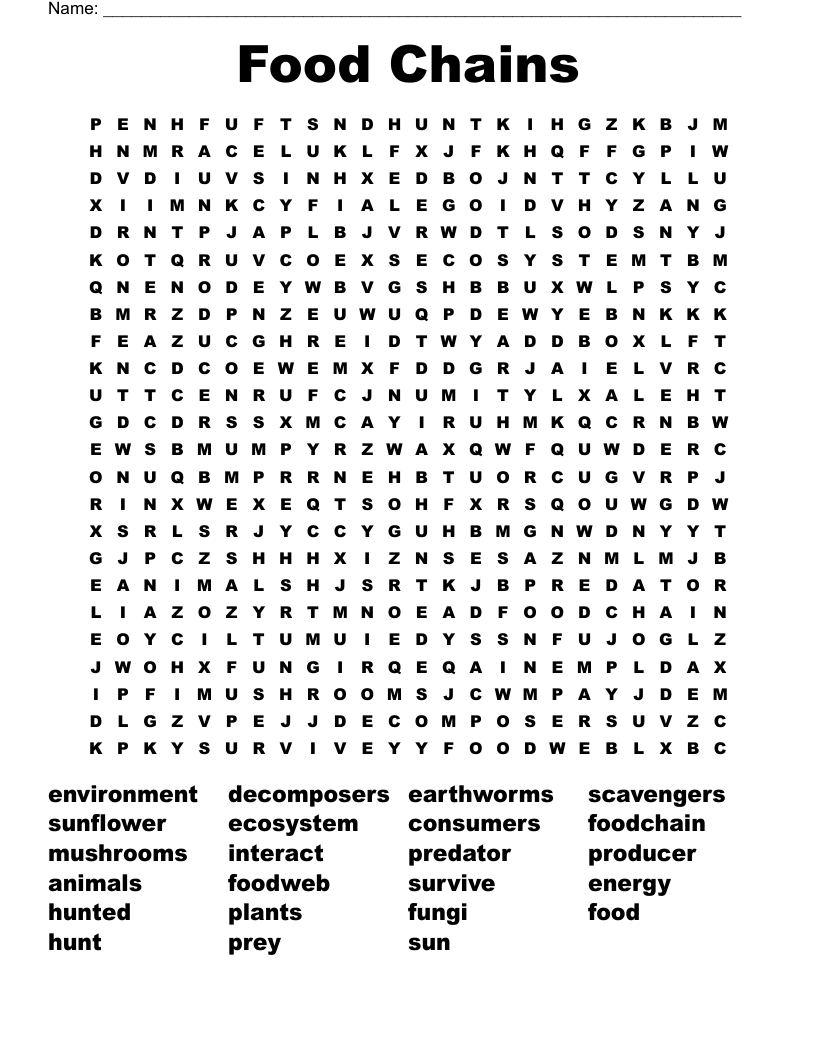 Food Chains Word Search - WordMint