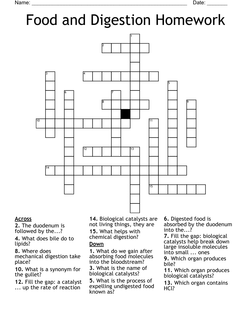 Food and Digestion Homework Crossword - WordMint