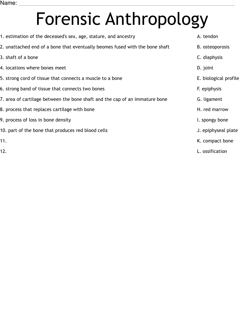 Forensic Anthropology Worksheet WordMint