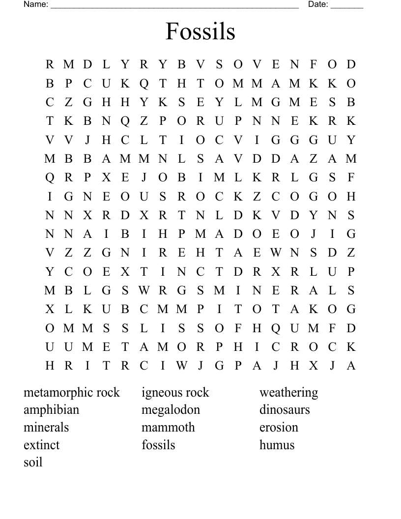 Fossils Word Search - WordMint