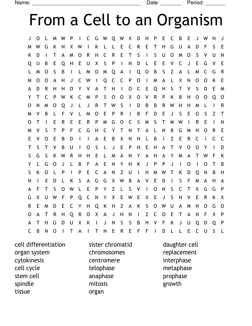 From A Cell To An Organism Word Search WordMint