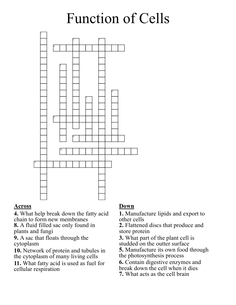 Function Of Cells Crossword WordMint