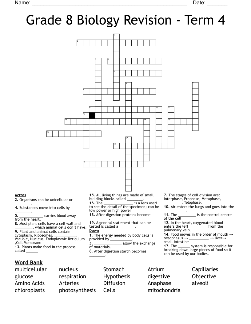 Grade 8 Biology Revision - Term 4 Crossword - WordMint