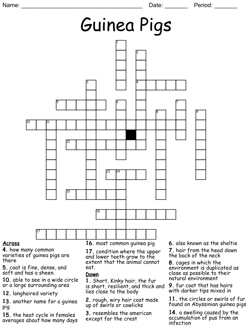 Guinea Pigs Word Search - WordMint