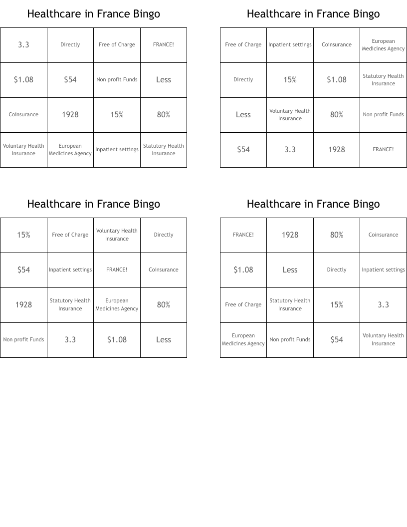 Healthcare in France Bingo - WordMint