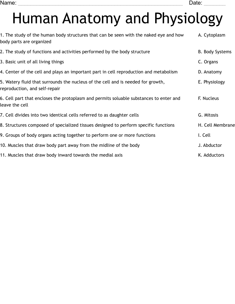 Human Anatomy And Physiology Worksheet WordMint