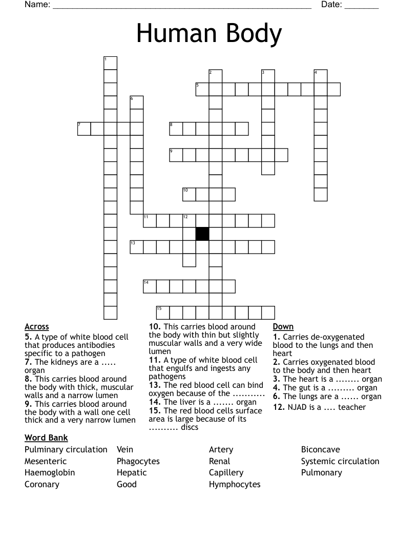 Human Body Crossword - WordMint