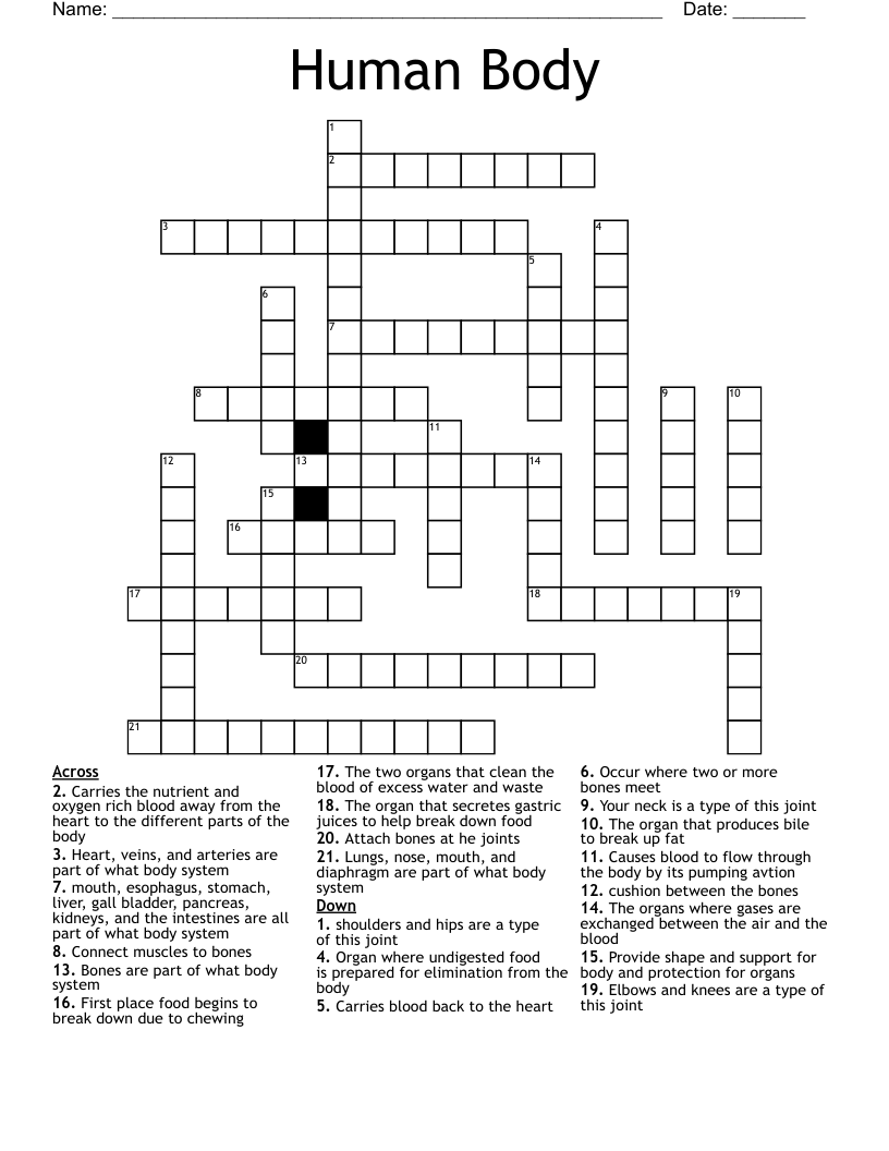 Human Body Crossword - WordMint