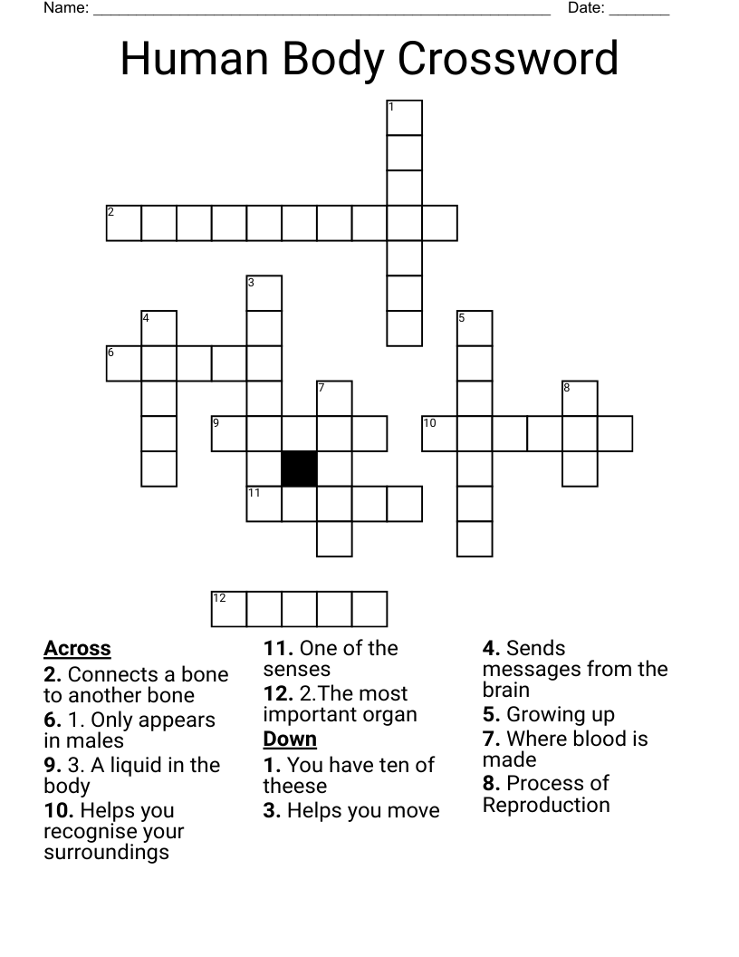 Human Body Crossword - WordMint