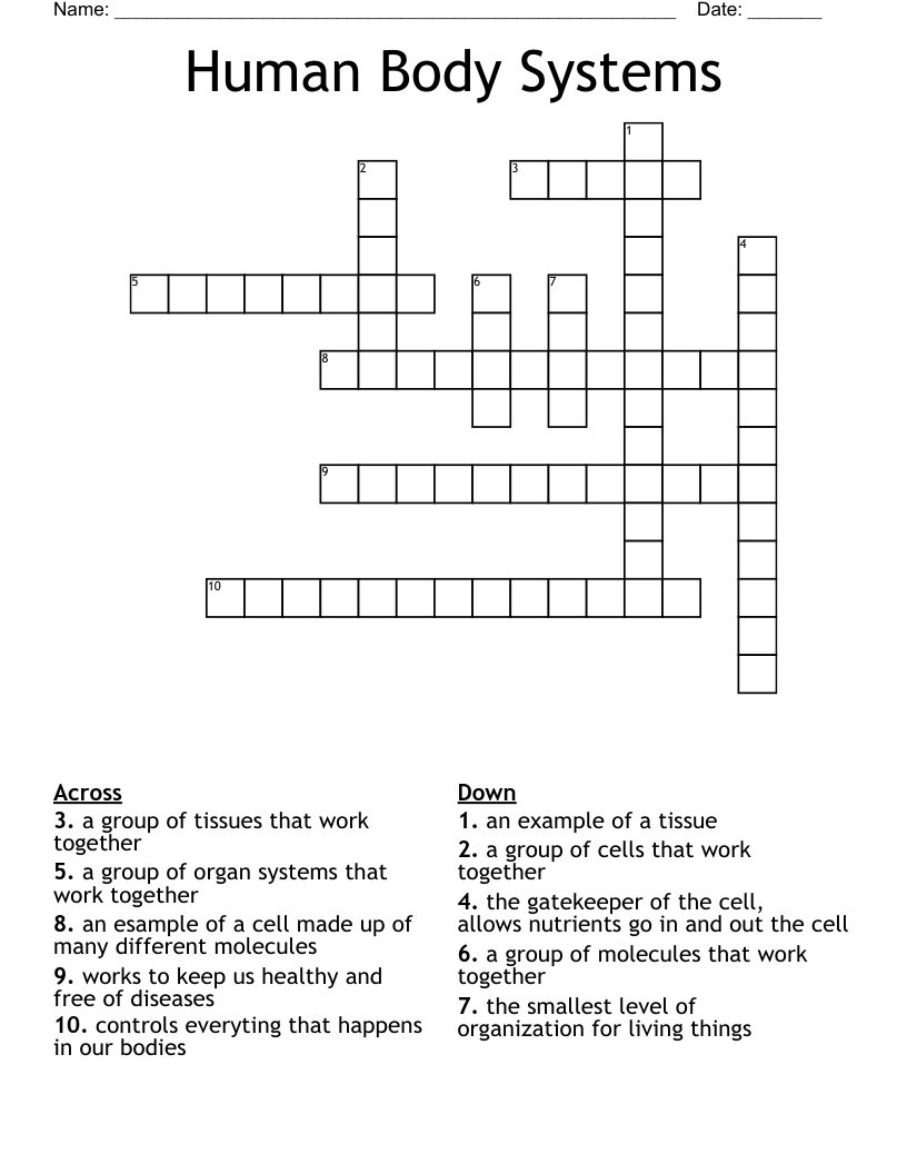 Human Body Systems Crossword - WordMint