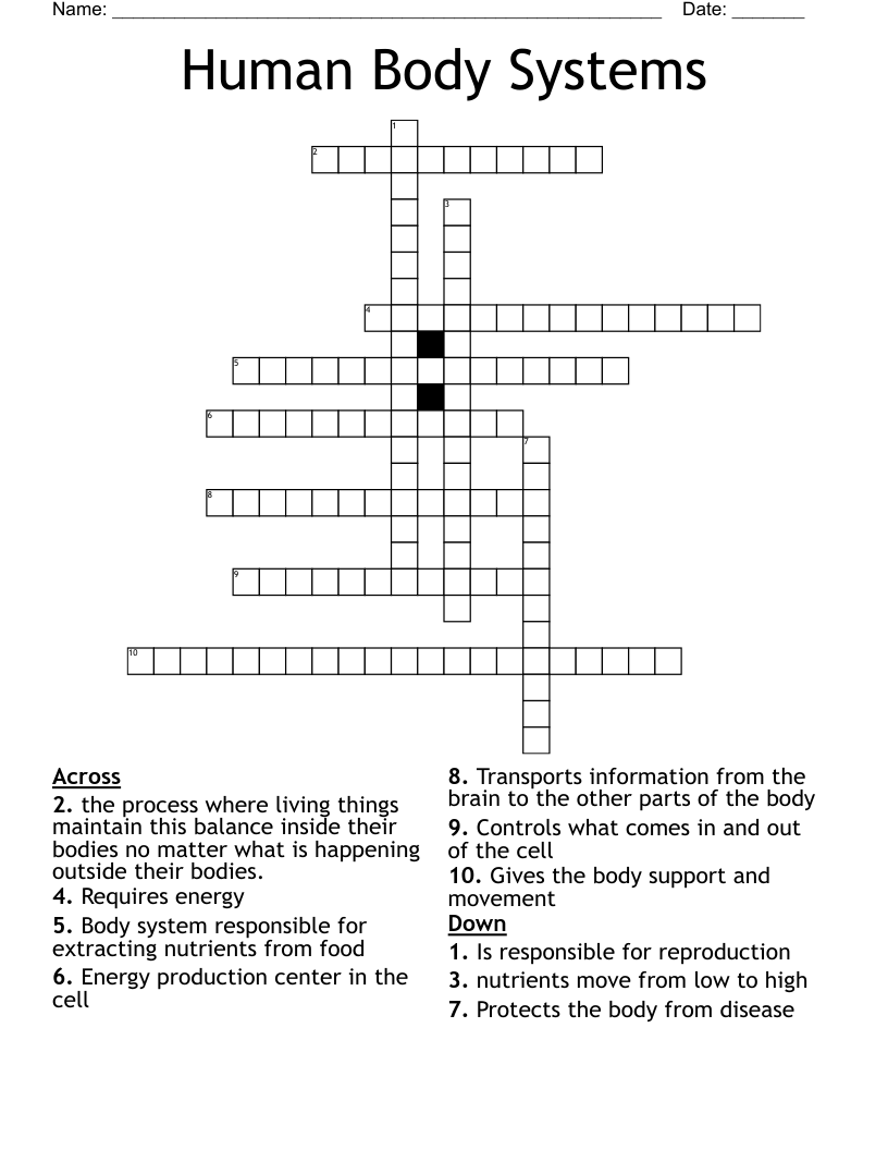 Human Body Systems Crossword - WordMint