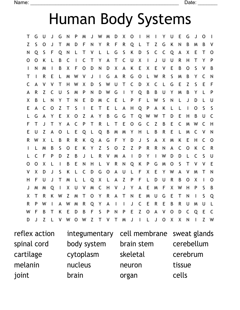 Human Body Systems Word Search - WordMint