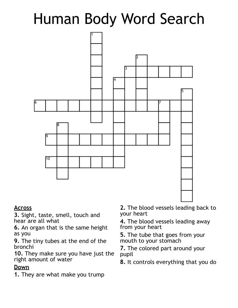 Human Body Word Search Crossword WordMint