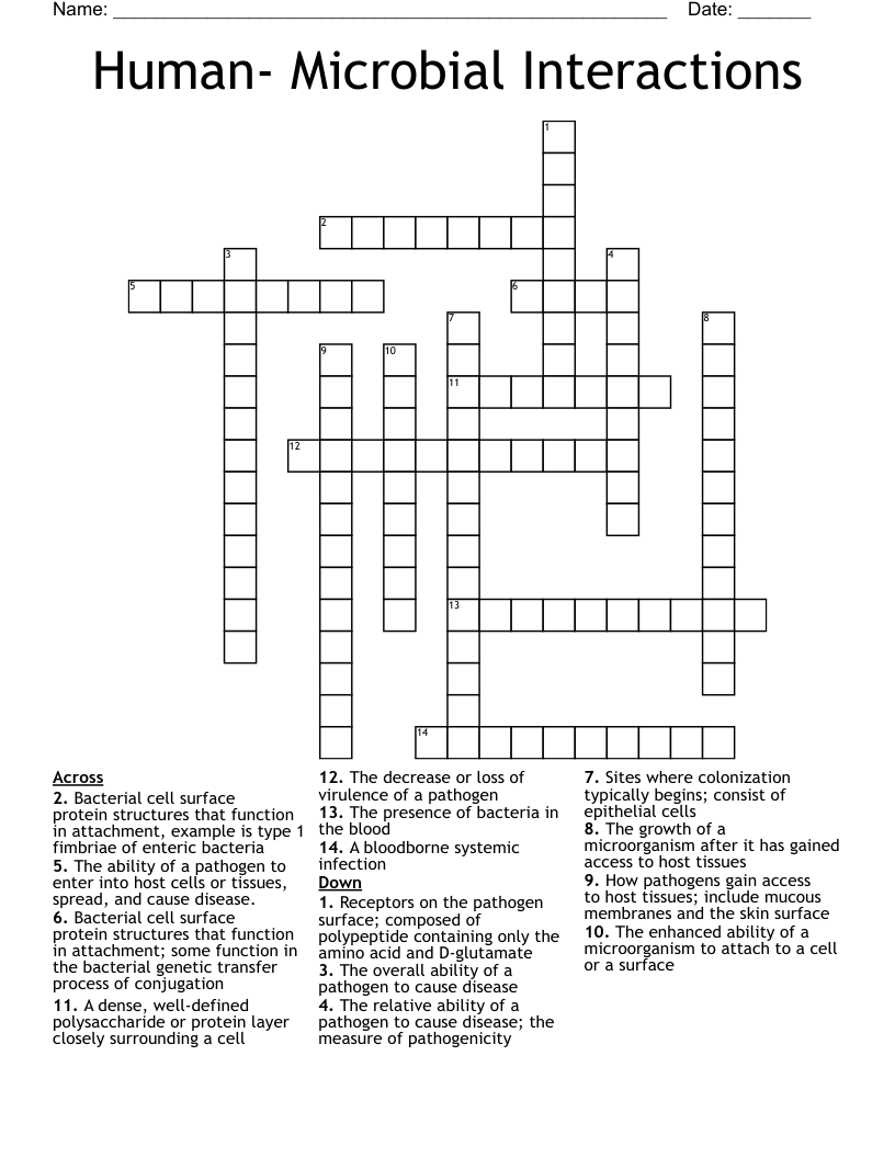 Human- Microbial Interactions Crossword - WordMint