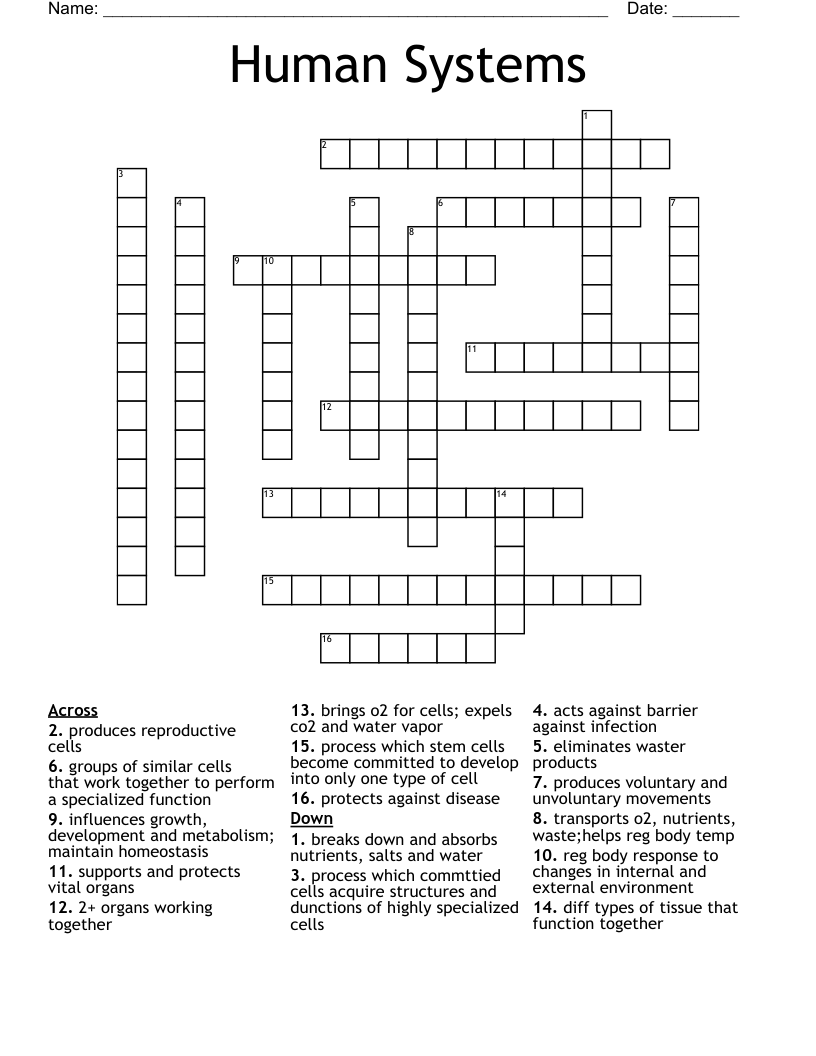 Human Systems Crossword - WordMint