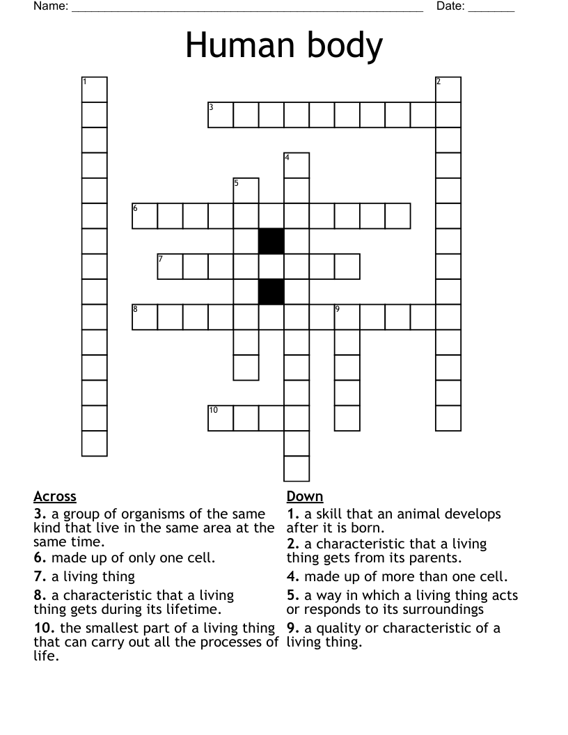 Human body Crossword - WordMint