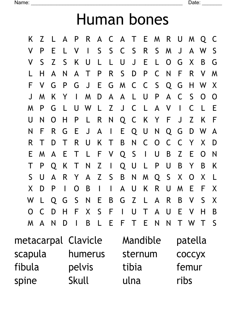 Bones Word Search WordMint