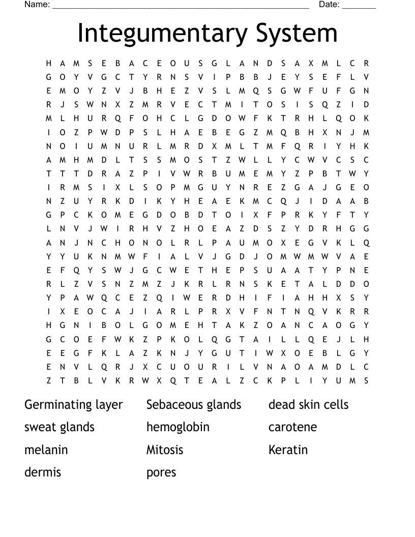 Integumentary System Word Search - WordMint