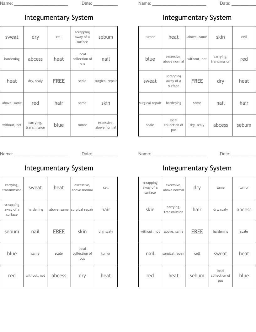 Integumentary System Bingo Cards - WordMint
