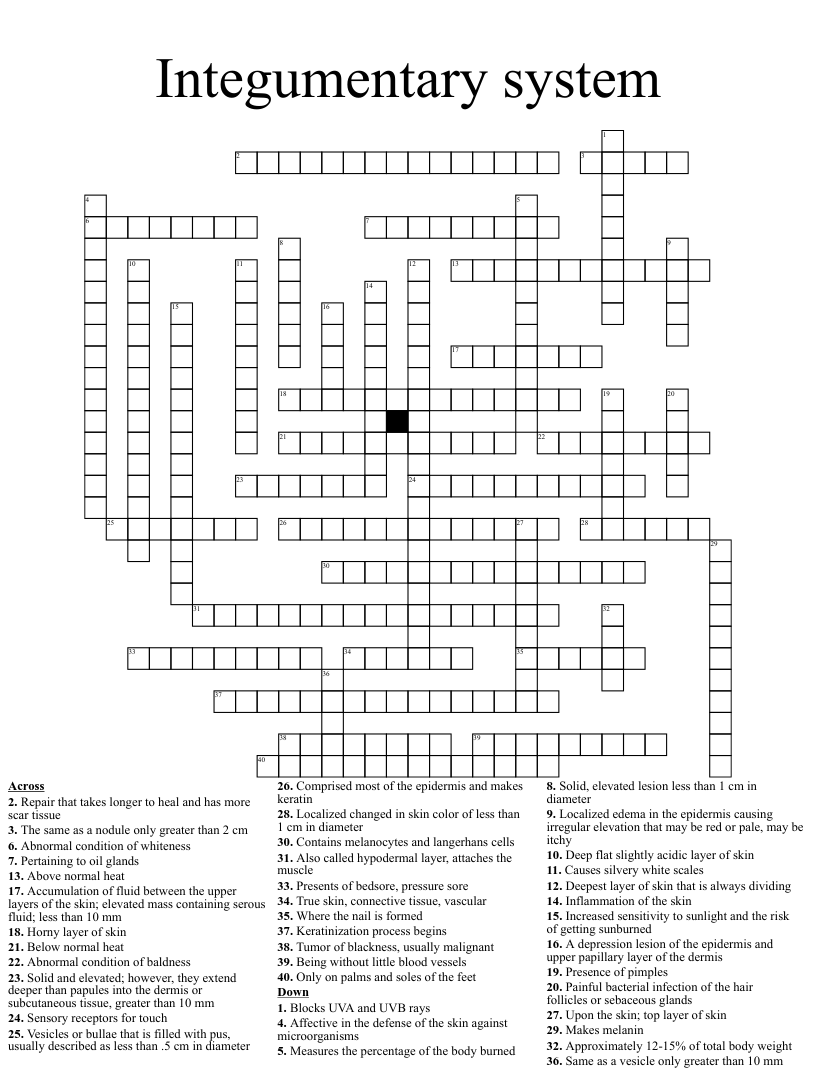 Integumentary system Word Search - WordMint