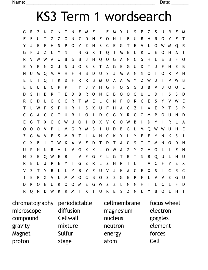 KS3 Term 1 wordsearch - WordMint