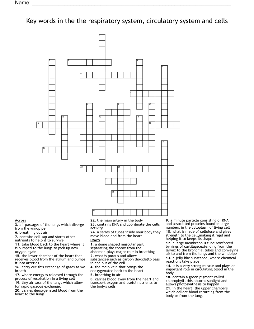 Key words in the the respiratory system, circulatory system and cells ...