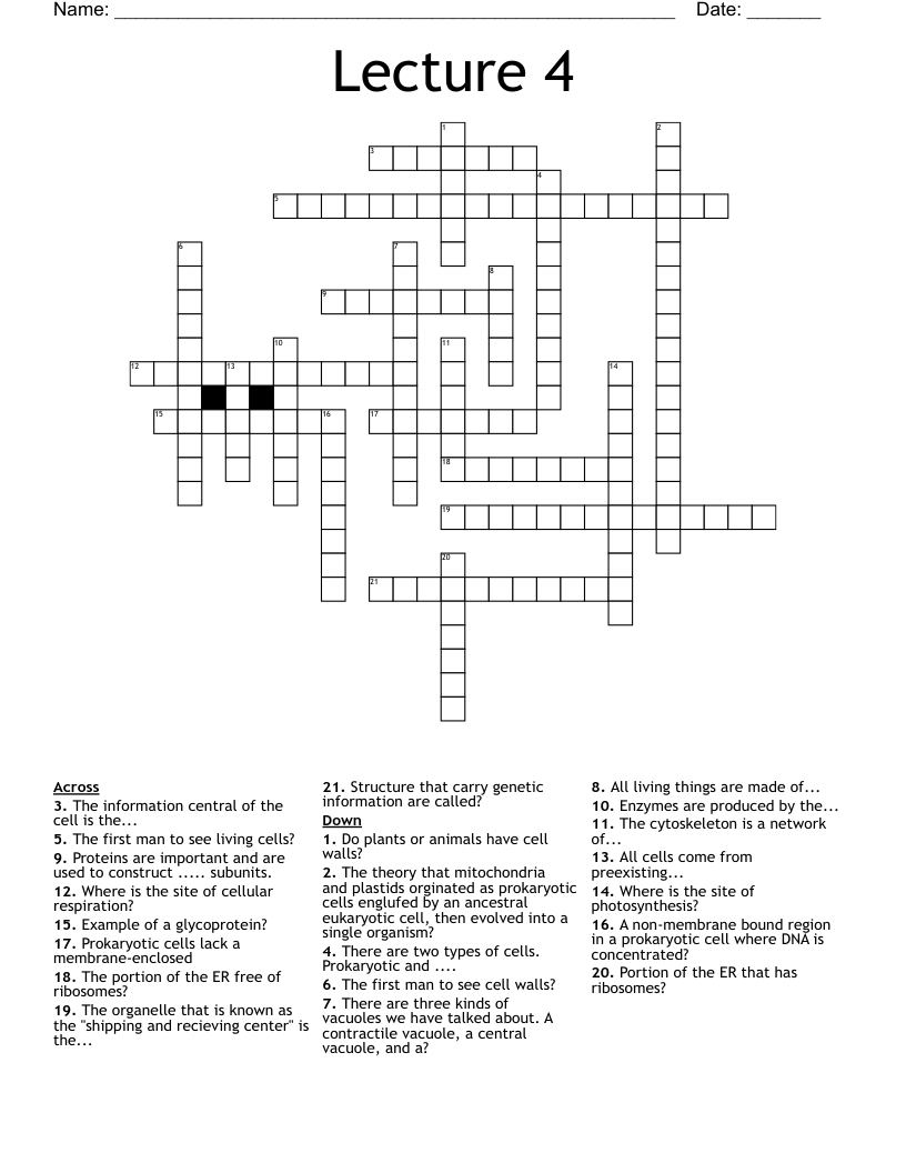 Lecture 4 Crossword - WordMint