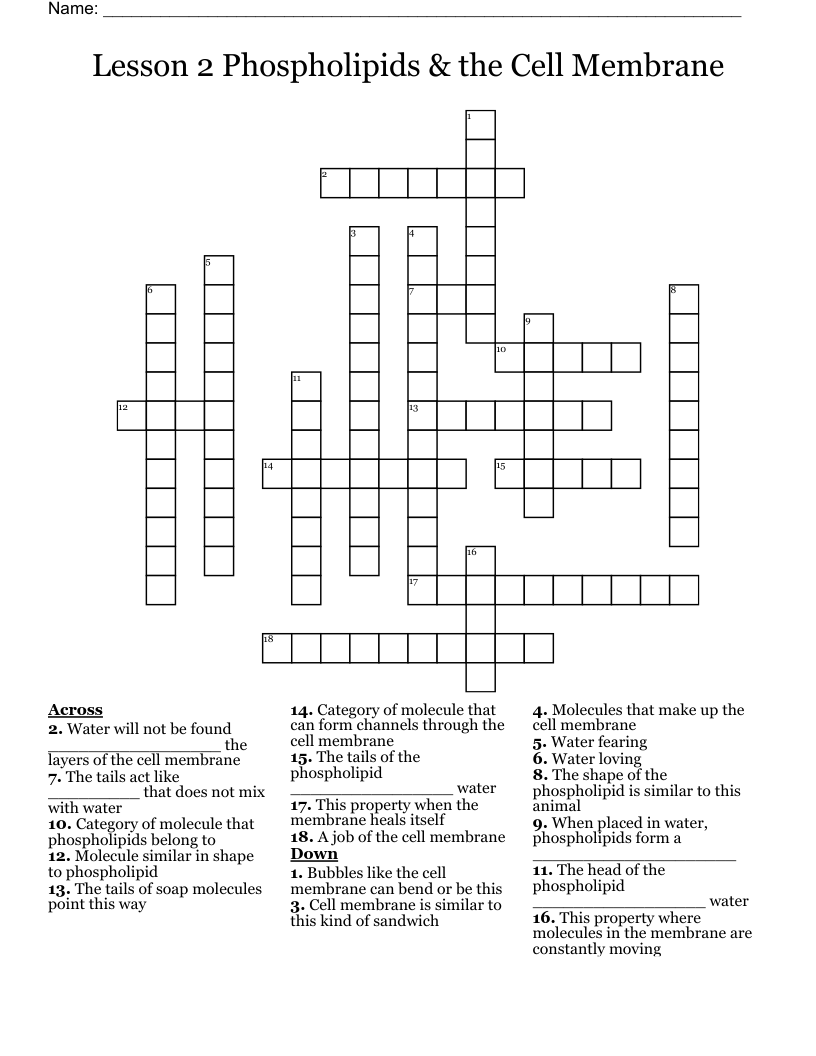 Lesson 2 Phospholipids & the Cell Membrane Crossword - WordMint