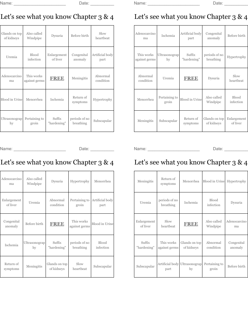 Let's see what you know Chapter 3 & 4 Bingo Cards - WordMint