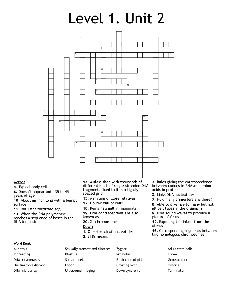 Level 1. Unit 2 Crossword - WordMint