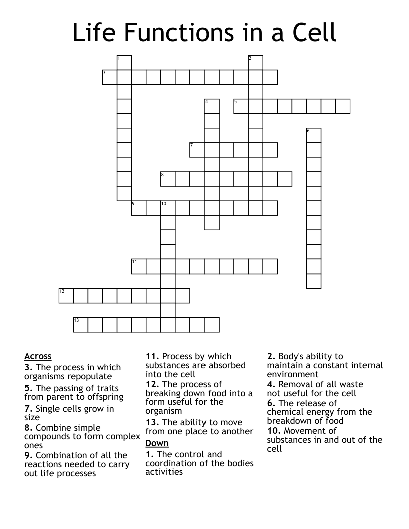 Life Functions In A Cell Crossword WordMint