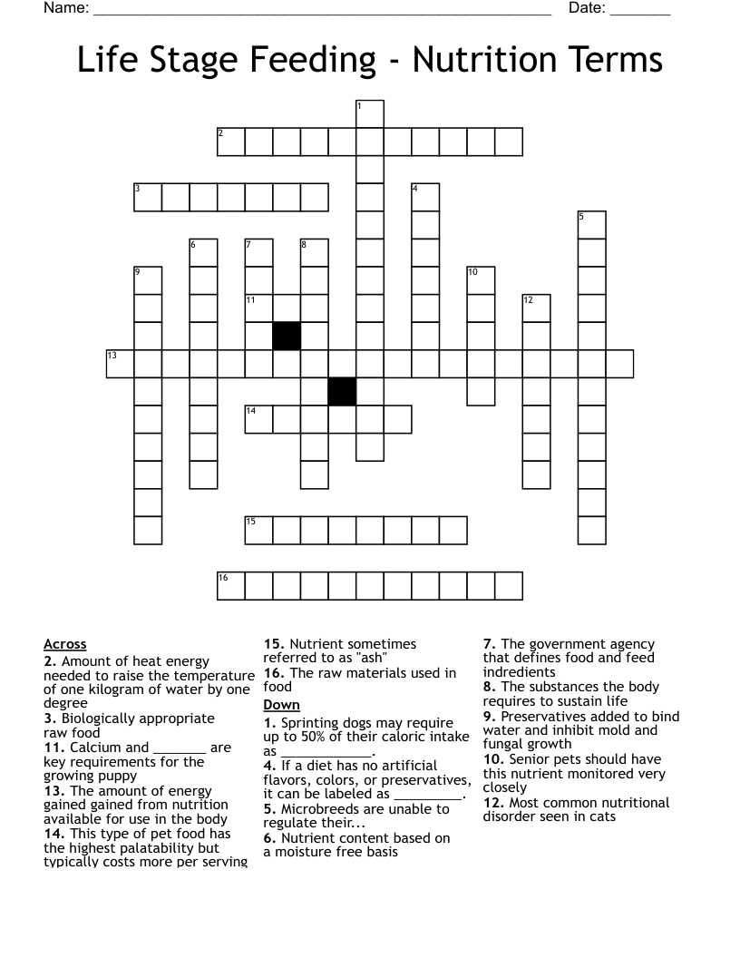 Life Stage Feeding - Nutrition Terms Crossword - WordMint