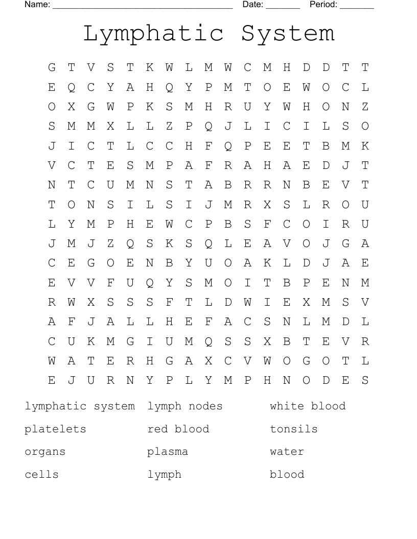 Lymphatic System Word Search - WordMint
