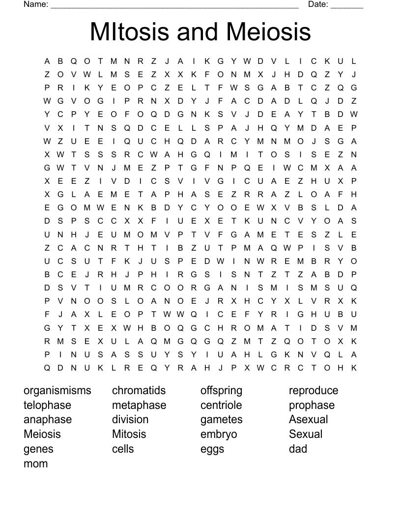 MItosis and Meiosis Word Search - WordMint