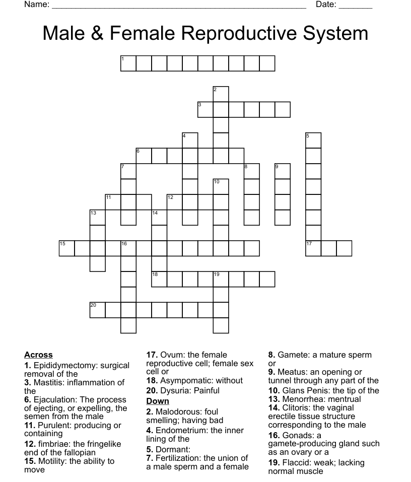 Quarter 2 Vocabulary Crossword Puzzle - WordMint
